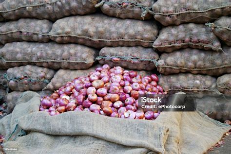 배경에 양파의 가방과 함께 배치 양파의 제비 시장 야드 푸네 마하라슈트라 인도 양파는 알리움 속의 많은 식물에 사용되는 용어입니다 그들은 일반적인 이름 양파로 알려져 있지만