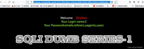 渗透测试练习题解析 3（ctf Web）渗透测试程序题目 Csdn博客