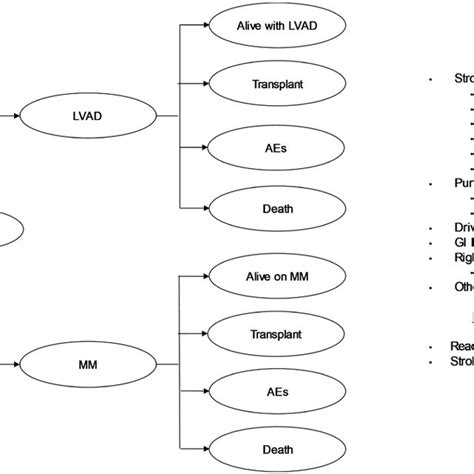 Simplified Model Representation Lvad Left Ventricular Assist