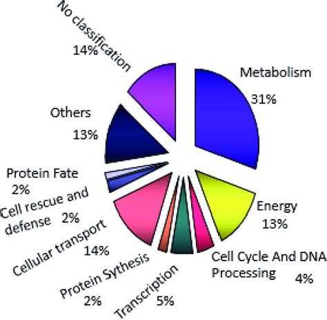 classification of significant sequences into the functional categories