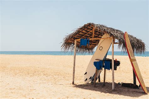 야자수 잎 캐노피 아래 서핑 보드 대여 포인트 바다 모래 해변에 의해 스택에 서핑 보드 0명에 대한 스톡 사진 및 기타 이미지
