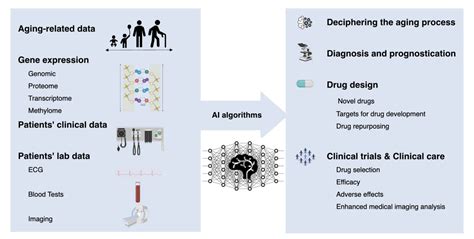 Artificial Intelligence For Aging Research In Cancer Drug Development