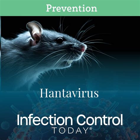 Hantavirus What The Public And Health Care Professionals Should Know