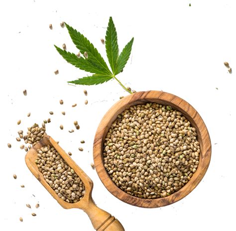 Best Hemp Seed Oil In India Hemp Seed Oil Suppliers