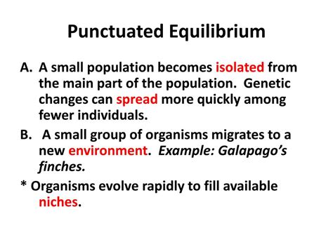 Ppt Patterns Of Evolution Powerpoint Presentation Free Download Id