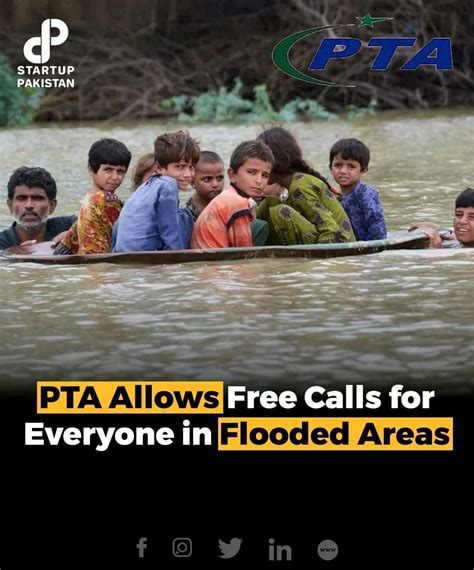 Sofia Arain Posted On Linkedin