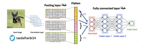 شرح تفصيلي max pooling layer ما هي منصة أكاديما لتدريب وتعلم علوم