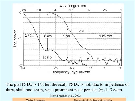 Ppt Tutorial On Spatial Analysis Of Human Eeg Powerpoint Presentation Id199055