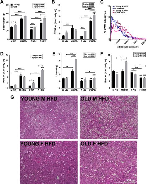 Figure 1 From Female Adipose Tissue Has Improved Adaptability And