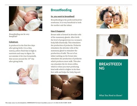 Solution Module Assignment Newborn Nutrition Teaching Presentation