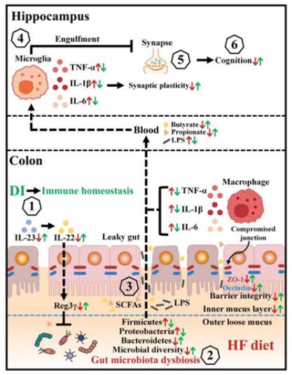 Microbiome