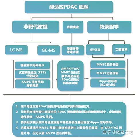 非靶向代谢组学揭示代谢重编程介导的胰腺导管腺癌转移新机制 知乎