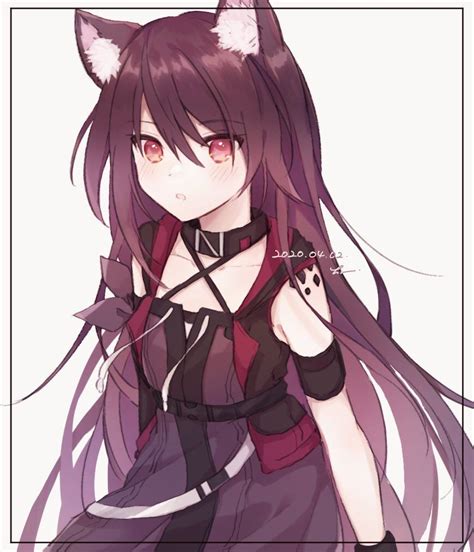 Anime Wolf Girl Anime Girl Neko Anime Art Girl Gato Anime Anime Cat