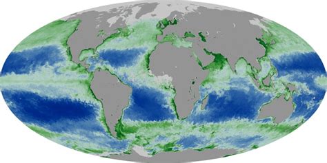 Chlorophyll And Sea Surface Temperature