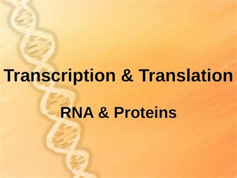 Pptx Transcription And Translation Rna And Proteins 2 3 I Why Is Rna Important To All Living