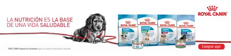 Ceba Productos Y Servicios Veterinarios