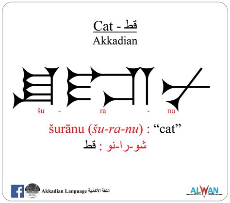 Akkadian Language