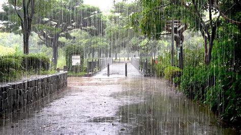 편안한 숙면하게 하는 빗소리를 들어보세요누구나 좋아하는 자연 백색소음 Asmr Youtube