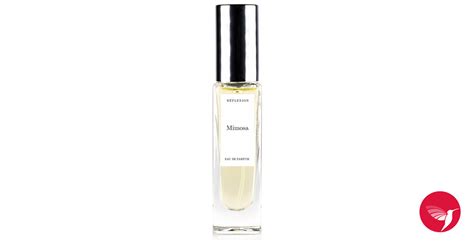 Mimosa Reflexion аромат — аромат для мужчин и женщин