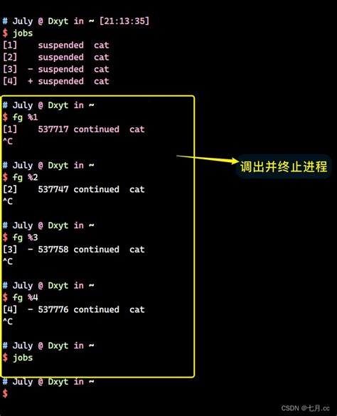 【linux】linux最常用的20个基本指令 介绍~分析linux A Csdn博客