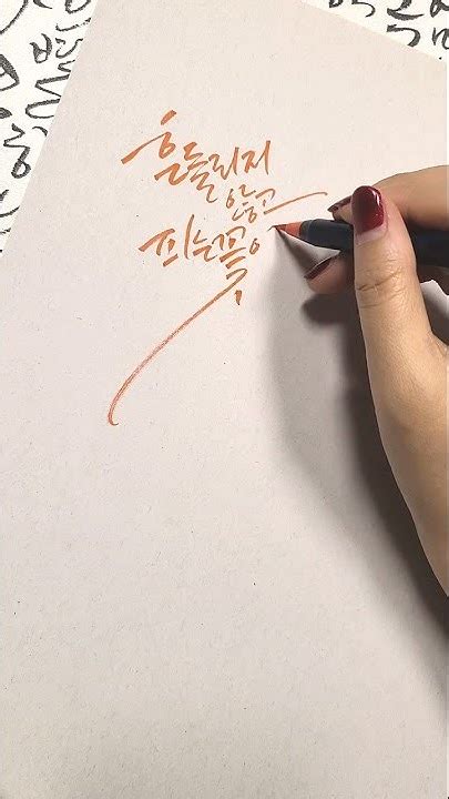 흔들리지 않고 피는꽃이 어디 있으랴도종환시감성토끼 캘리그라피 Youtube