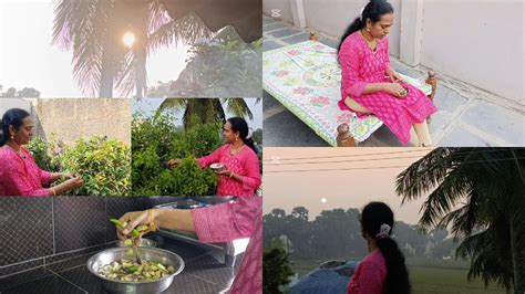 Village Vlog 2 Moring To Evening Routine Daily Vlogsmy Kitchen