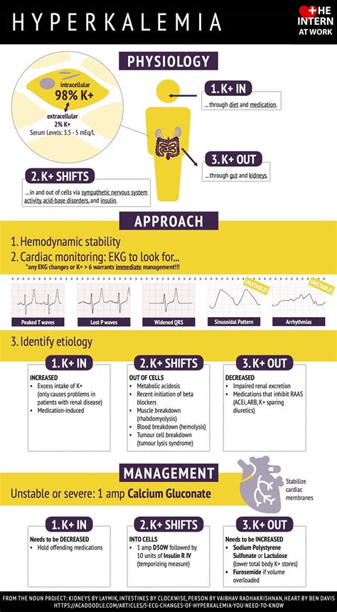 Ppt Hyperkalemia And Hypokalemia Powerpoint Presentation Hyperkalemia