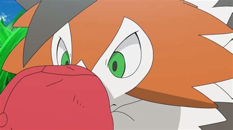Pin By Eden On Pokemon Cute Pokemon Pictures Pokemon Pictures