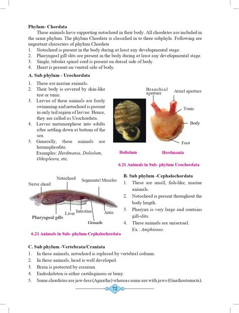 Maharashtra Board 10th Standard Science Part 2 Book PDF AglaSem