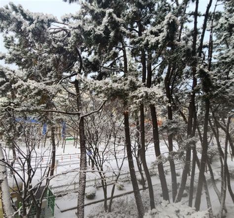 우리나라 역대 최저 기온 기록 및 극심한 온도차 원인