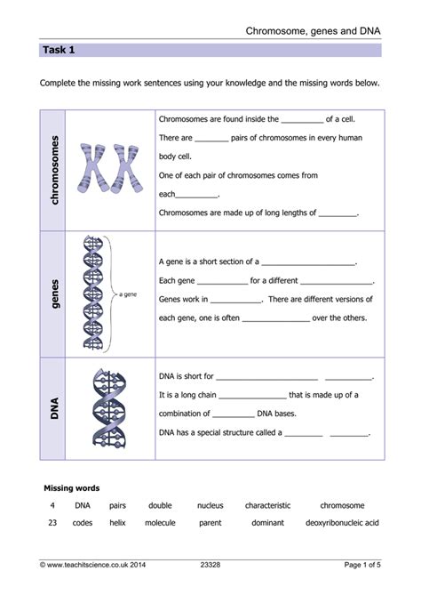 Reading The Genetic Code Worksheet