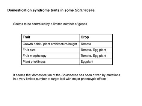 Ppt Unraveling Potato Domestication From Andes To Europe Powerpoint