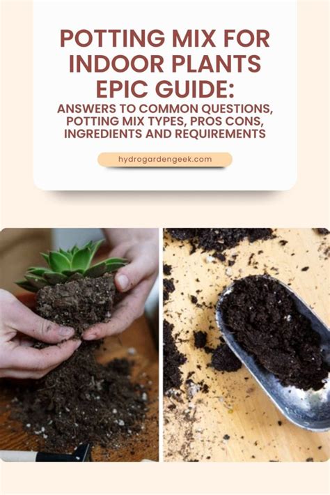 Potting Mix For Indoor Plants Epic Guide 🔥actual ★ Date Templatey