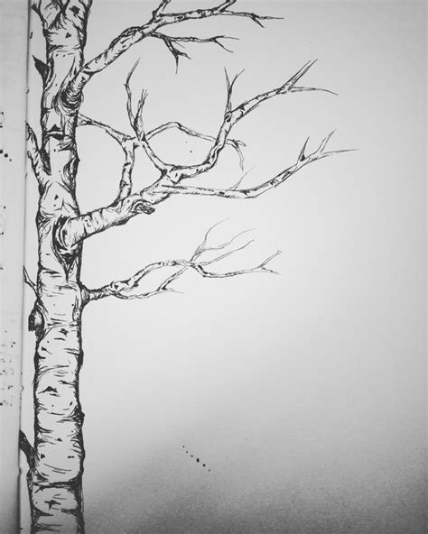 Pencil Tree Sketching Tips And Tricks