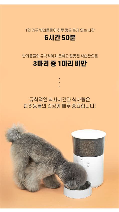 [오아] 이리와 펫 고양이 강아지 4l 자동급식기 애견 반려견 Ofe 001wh 현대shop 현대자동차 공식 온라인몰