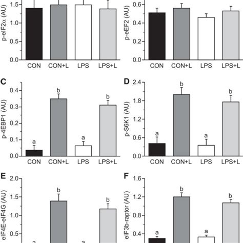 Phosphorylation Of Eukaryotic Translation Initiation Factor Eif2 A Download Scientific
