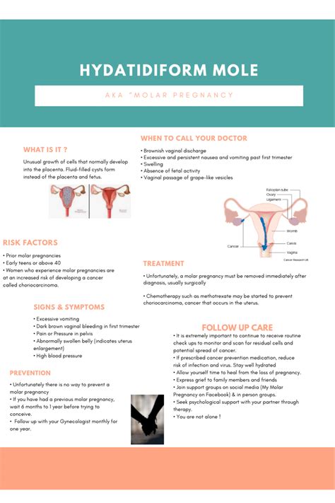 Hydatidiform Mole Nursing School Essential Medical School Stuff