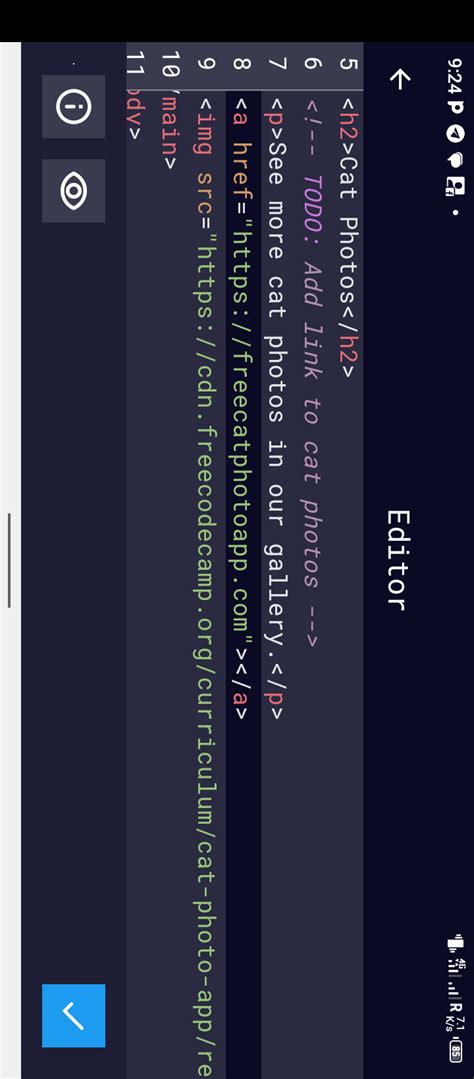 Learn Html By Building A Cat Photo App Step 11 Html Css The