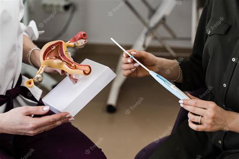 Premium Photo Iud Intrauterine Device And Uterus Model In Hands