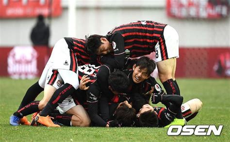 사진 Fc 서울 K리그1 잔류 성공 네이트 스포츠