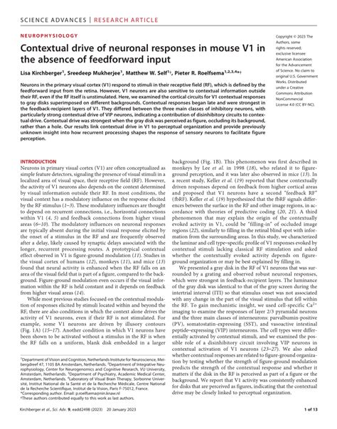 Pdf Contextual Drive Of Neuronal Responses In Mouse V1 In The Absence Of Feedforward Input