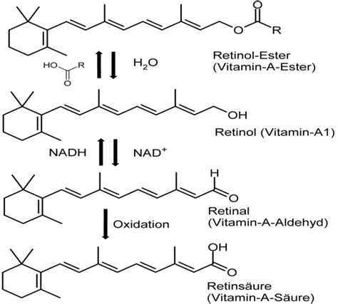Chemical Structure Of Retinol One Of The Major Forms Of Vitamin A