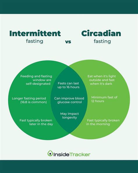 Circadian Rhythm Fasting Eating To Align With Your Internal Clock