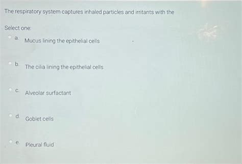 Solved The Respiratory System Captures Inhaled Particles And Chegg