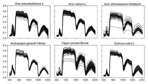 training and validation of leaf spectra of selected species download