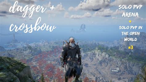 Throne And Liberty Solo Pvp 1vs1 Solo Pvp In The Open World Dagger