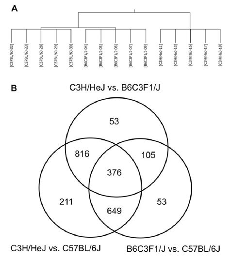 Overview Of Microarray Results A Self Organizing Map Based On Probe
