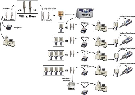 Experimental Workflow Of The Study Download Scientific Diagram