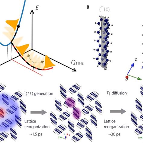 Schematic Illustrations Of Coherent And Incoherent Lattice Dynamics Of