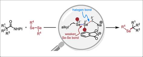 Bio Inspired Halogen Bonding Promoted Cross Coupling For The Synthesis Of Organoselenium Compounds}